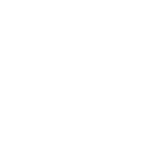 Camm-Pro | Your Project Management Partner